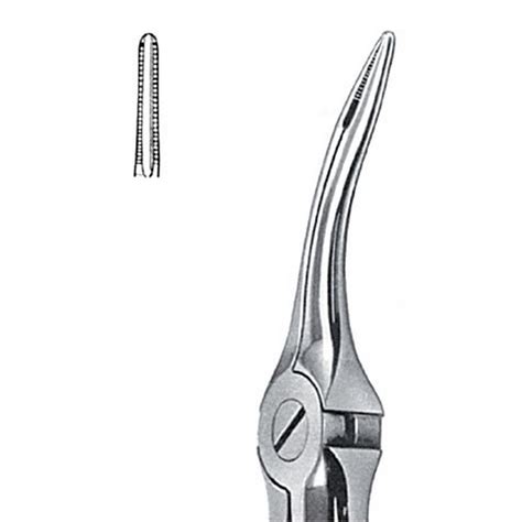 Image result for Extracting Forceps