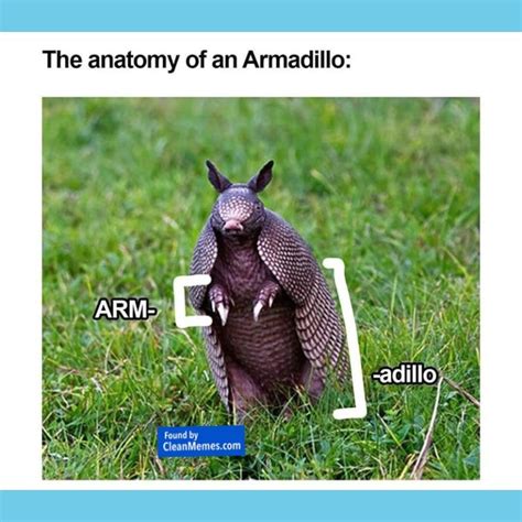 Image result for Run Memes Clean