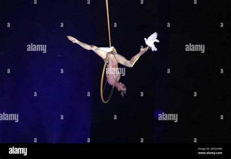 Image result for Acrobatic Performance