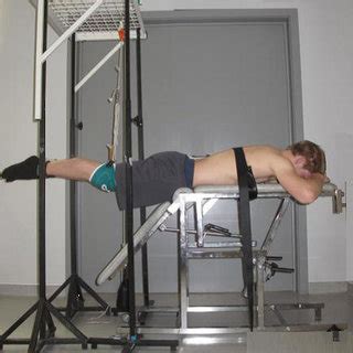 Image result for Trunk Extension Exercises