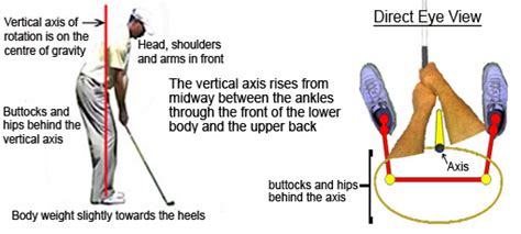 Image result for Proper Golf Rotation