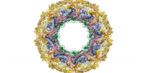 Image result for Nuclear Pore Complex Super Resolution