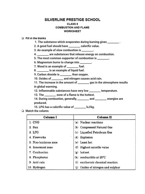 Combustion Worksheet | PDF