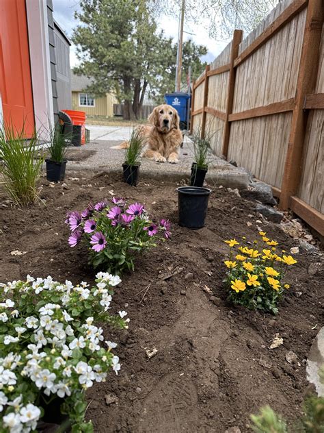 Image result for Weekend Landscaping Projects