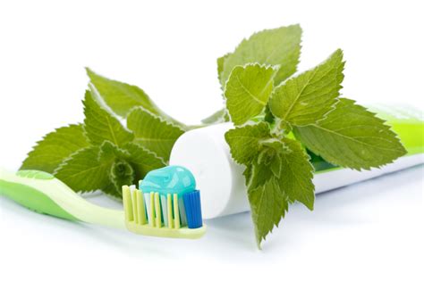 Image result for Fresh Mint Toothpaste