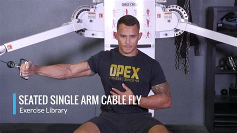 Image result for Cable Fly Exercise