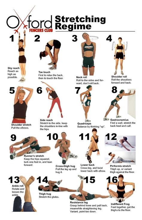 Image result for Stretching Exercise Chart