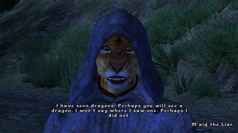 Image result for Unkillable NPC