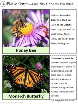Image result for Insect Facts