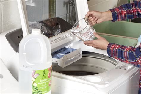 Image result for Washing Machine Having Bad Smell