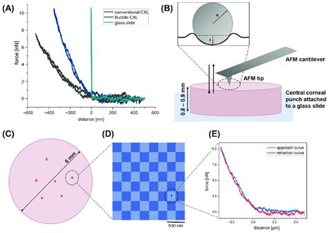 Image result for AFM Force Distance Graph