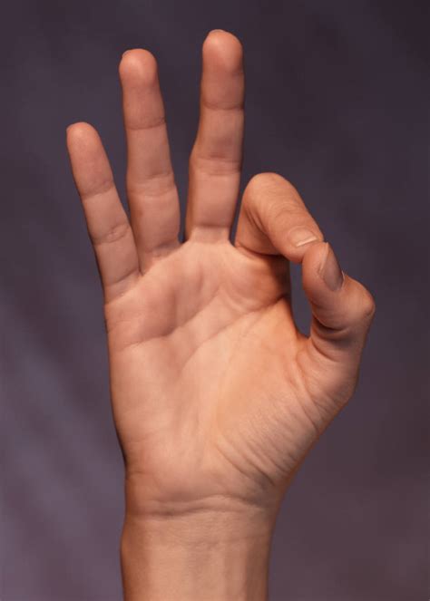 Image result for Report Sign Language