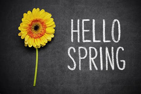 Image result for Hello Spring Man