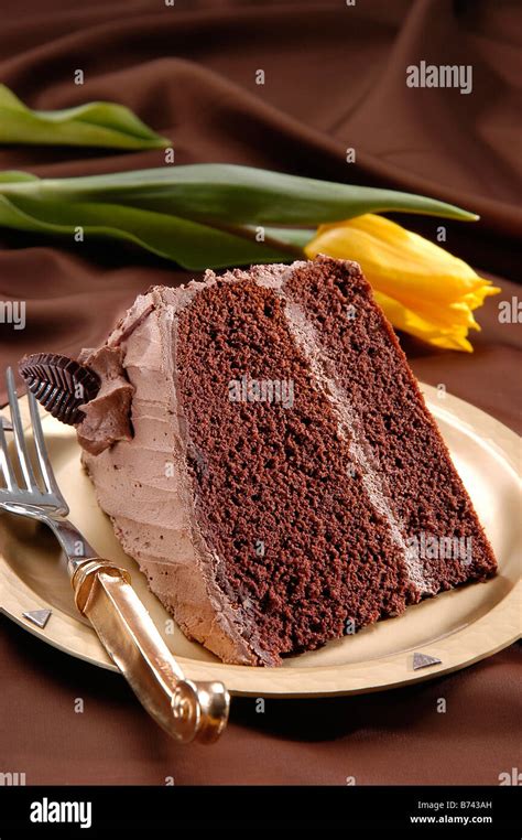 Image result for Sponge Cake Slice