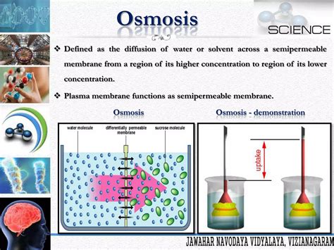 Image result for Basic Unit of Life