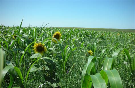 Image result for Conservation Stewardship Program