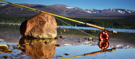 Image result for Rod Shop