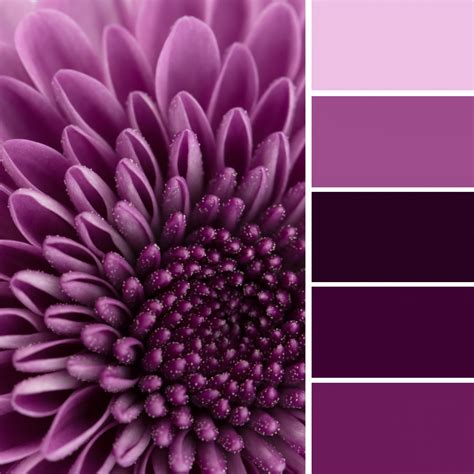 Image result for Monochromatic Color Scheme