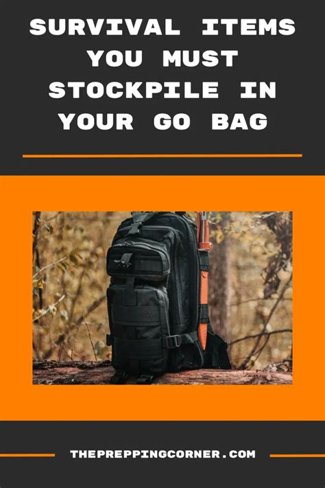 Image result for Prepper Go Bag