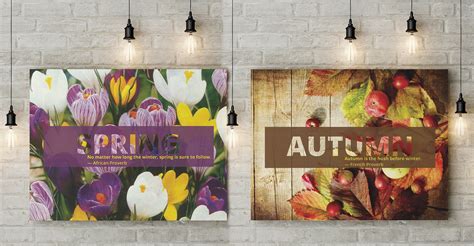 Image result for Vivaldi Autumn Spring