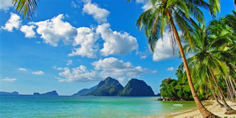 Image result for Tropical Climate Temperature Range