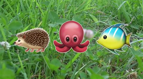 Image result for Add Pictures From My Camera