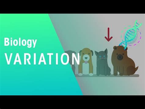 Image result for Random Variation Definition