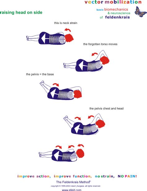 Image result for Trunk Bender Exercise