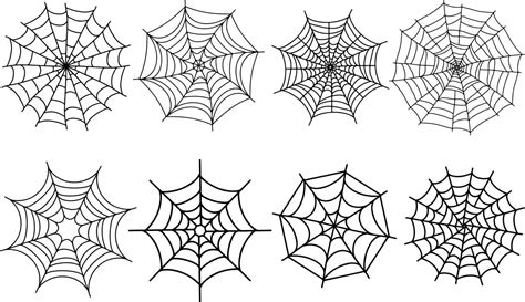 Image result for Spider Web Vector