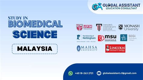 Image result for Study Biomedical Science