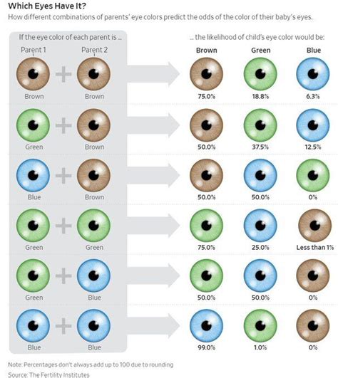 Image result for Punnett Square Explained Eye Color
