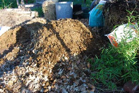 Image result for How Do You Build a Compost Pile