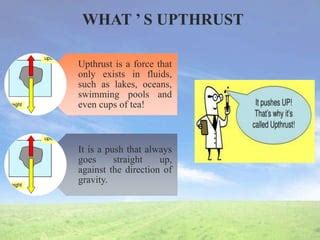 Image result for What Is Actually Upthrust Force