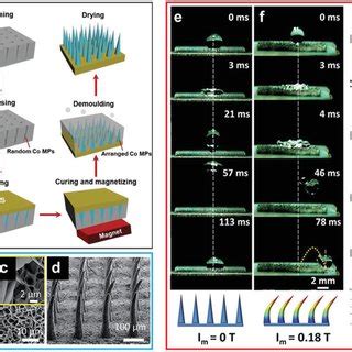 Image result for Multi-Directional Magnetic Particle