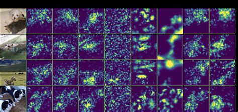 Image result for ImageNet Class