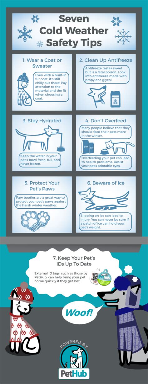 Image result for Cold Weather Safety Tips