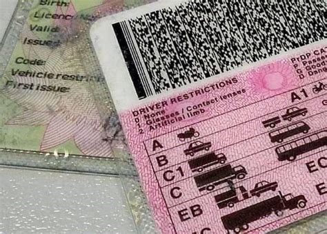 Image result for License Card Code 10