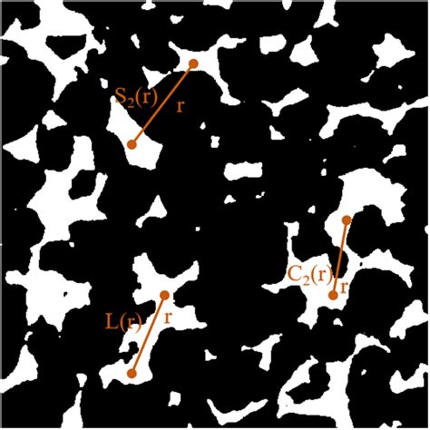 Image result for Morphological Characteristics Examples