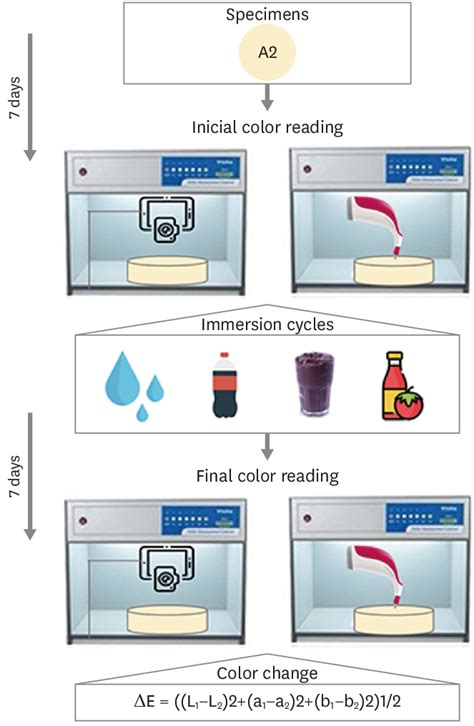 Image result for Summarizing Process