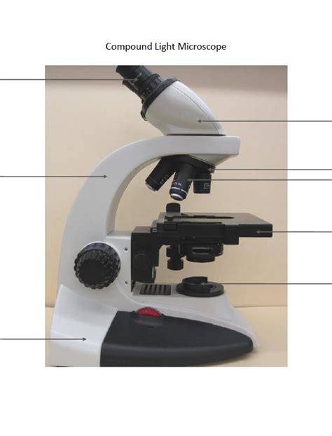 Image result for Scientific Microscope