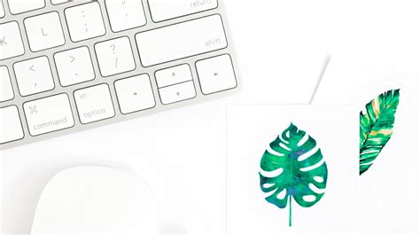 Image result for Bit Website Link