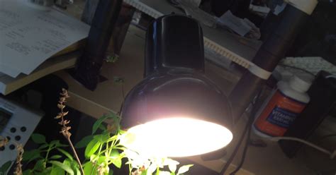 Image result for iPhone 5 Problems