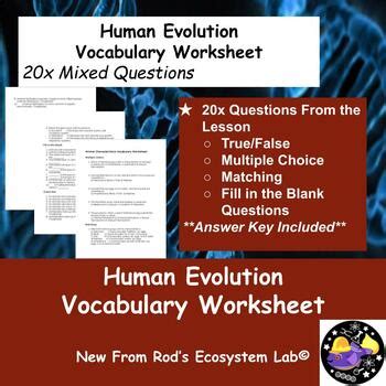 Image result for Human Evolution Worksheet