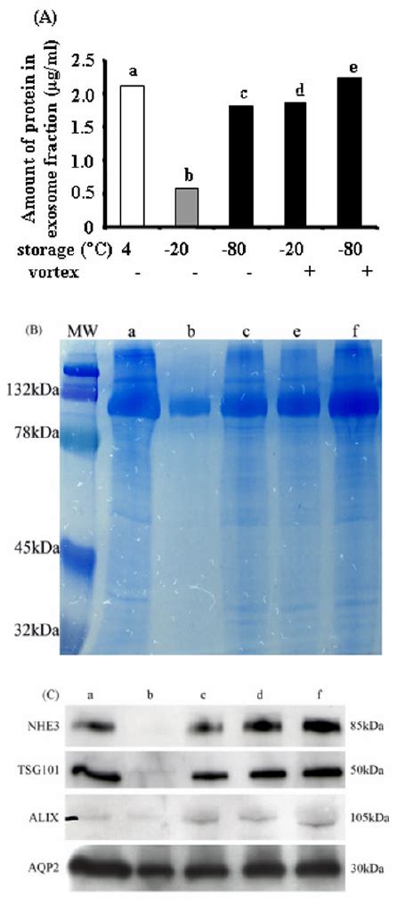 Image result for Vortexing