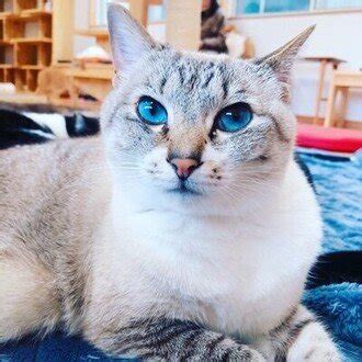 Image result for Capterra Fire Note