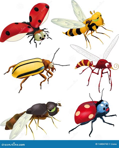 Image result for Insects Group