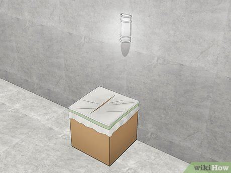 Image result for How to Catch a Lizard