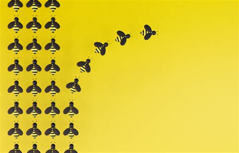 Image result for Hive Project Management Bee