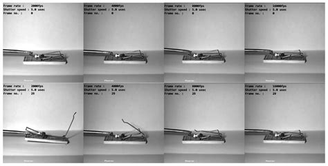 Image result for High Speed Camera Arcing