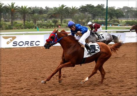 Image result for Course de Chevaux en Direct